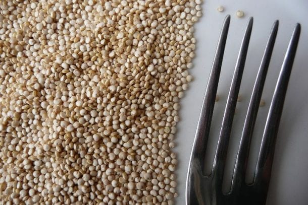 Le quinoa, sa culture et ses bienfaits - Plaisirs bio
