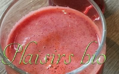 Blog de recettes de cuisine bio, de jus,sans gluten, sans lactose